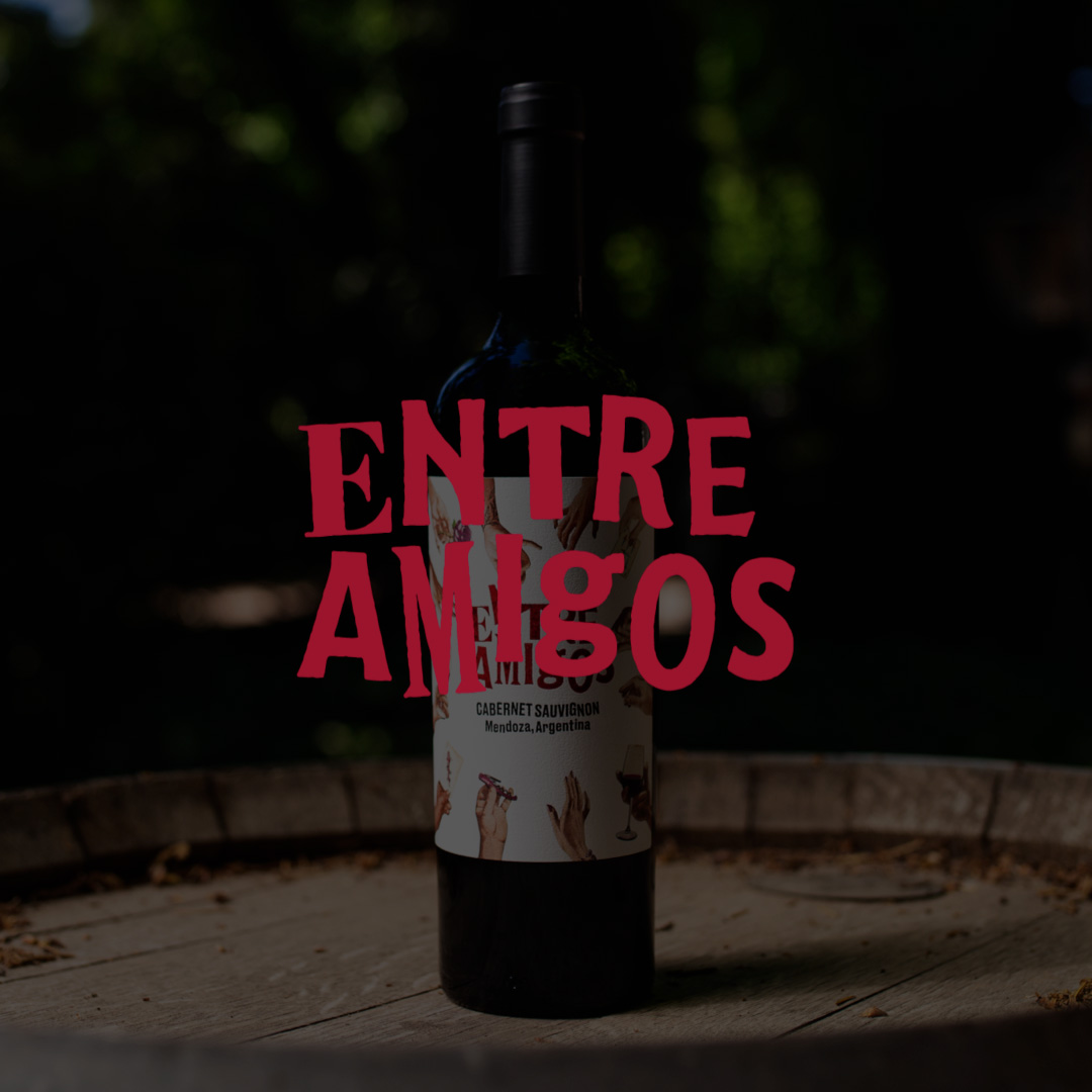 Bodega Torreleones – Winery and Vinyards